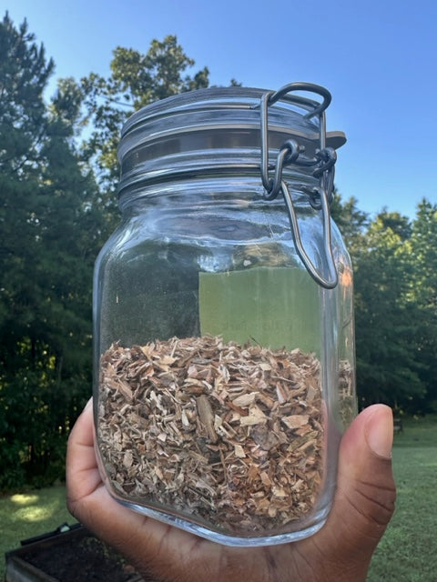 White Willow Bark: A Natural Fever Reducer with Many Benefits – Spi ...